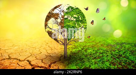 tree in two with very different environments Earth Day or World ...