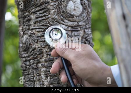 Checking health listening tree nature with stethoscope, biology ...