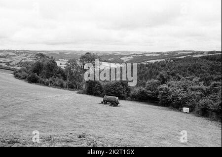 Hill field, High Bickington, North Devon, England, United Kingdom Stock ...