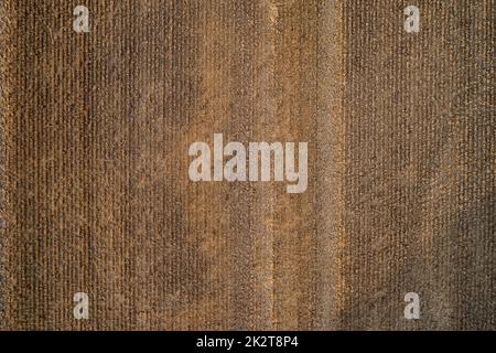harvest of wheat almost finished Stock Photo - Alamy