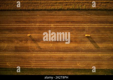 harvest of wheat almost finished Stock Photo - Alamy