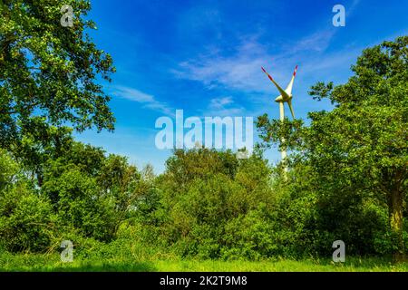 North German agricultural field wind turbines nature landscape panorama ...