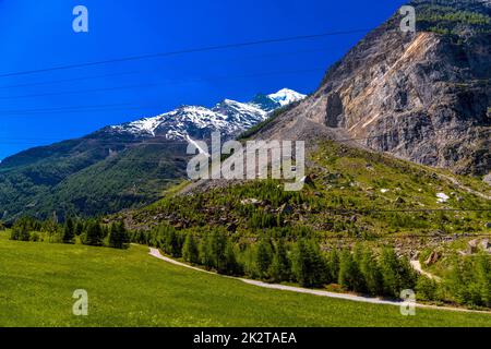 Alps mountains with pine forest, Randa, Visp, Wallis, Valais, Sw Stock ...