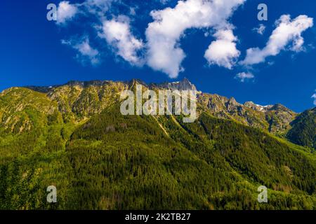 Green mountains covered with grass, Chamonix, Mont Blanc, Haute-Savoie ...