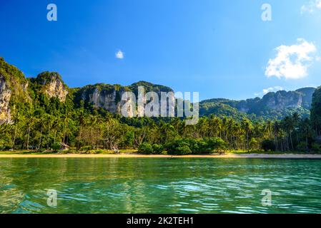 Coconut palms and rocks near the water, Tonsai Bay, Railay Beach, Ao ...