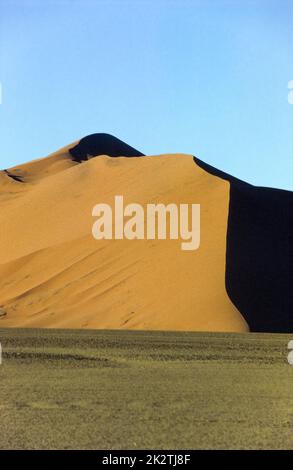 Namibia, the Namib desert, graphic landscape of yellow dunes ...
