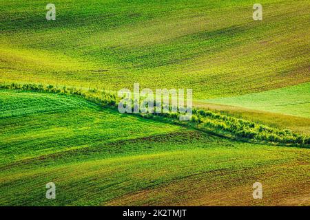 Abstract pattern of rolling fields Stock Photo - Alamy