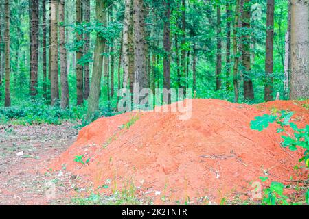 Red clay soil with pathway green plants trees forest Germany Stock ...