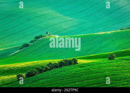 Moravian rolling landscape with hunting tower shack Stock Photo - Alamy