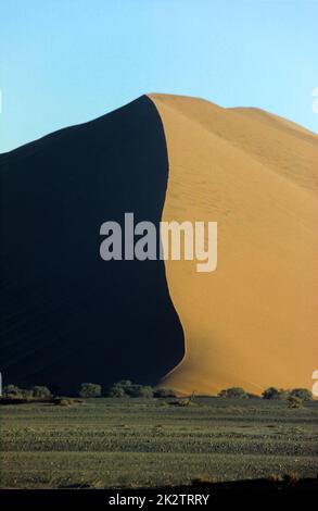 Namibia, the Namib desert, graphic landscape of yellow dunes ...