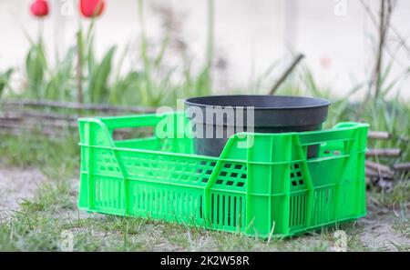 Plastic empty green box in the garden for plants or harvesting. On a ...