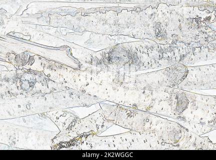 Soft pastel vintage grunge background texture design Stock Photo - Alamy