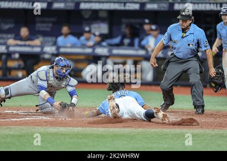 Tampa Bay Rays' Jonathan Aranda celebrates after his winning home run ...