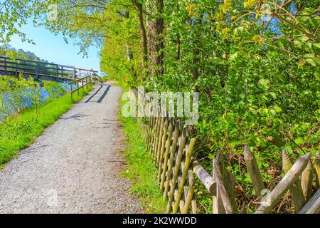 Bad Bederkesa Lake See bridge on sunny day and natural landscape in ...