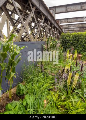 Contemporary flower border on a redeveloped section of Castlefield ...