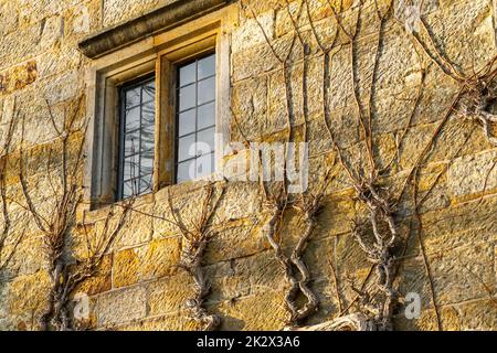 Leaded windows with stone mullions and lintel at Bateman's, Burwash ...