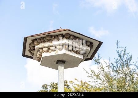 A nesting tower for swallows and buildings to protect Stock Photo - Alamy