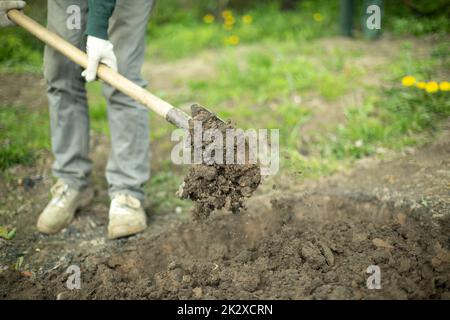 Guy is digging ground. Man with shovel. Details of rural life. Digging ...