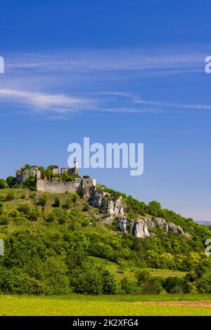 Falkenstein ruins and town with vineyard, Lower Austria, Austria Stock ...