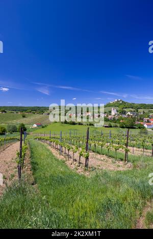 Falkenstein ruins and town with vineyard, Lower Austria, Austria Stock ...