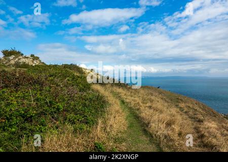 Portland, Coastal path, Shepherds Dinner, Grove Cliff Stock Photo - Alamy