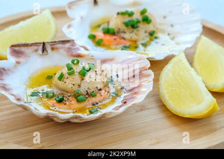 King scallop in shell Stock Photo - Alamy