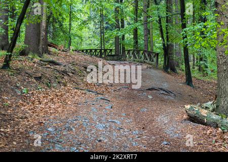 Path in the forest near Punkva caves in the Moravian Karst, Czech ...