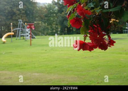 The play area in High Lea park, New Mills, Derbyshire Stock Photo - Alamy