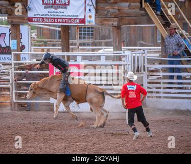 Cowboy, Bull rider with protective helmet with face mask is composing ...