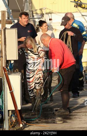 Essex UK. 23rd Sep, 2022. Old English Sheepdog 'May' is rescued from ...