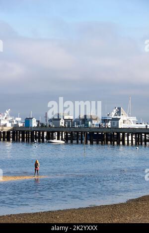 Visitor viewing MacMillan Wharf/Pier from a sand bar in Provincetown ...