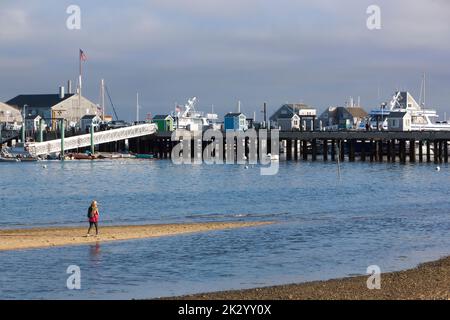 Visitor/tourist viewing MacMillan Wharf/Pier from a sand bar in ...