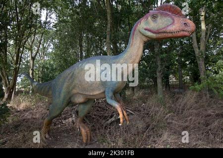Lifesize model of Dilophosaurus with two bony crests on its head was a ...