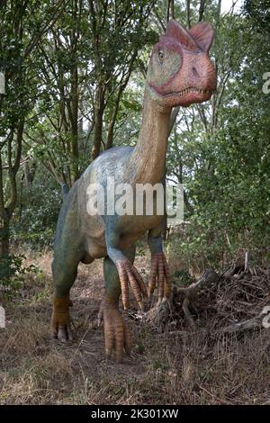 Lifesize model of Dilophosaurus with two bony crests on its head was a ...