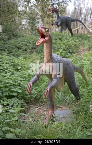 Lifesize model of Trrodon a birdlike theropod dinosaur of the Late ...