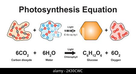 Scientific Designing of Photosynthesis Equation. Using The Molecular ...