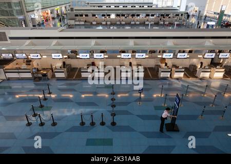 Check in desks at Haneda International Airport Terminal, Tokyo, Japan ...