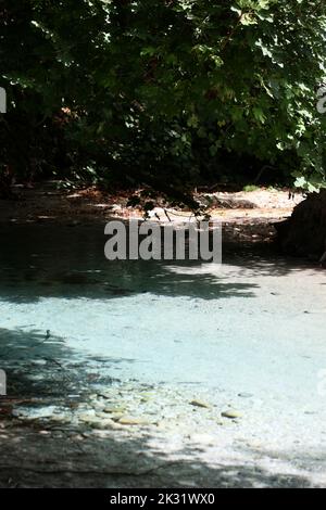 Acherontas river exploring Greece holidays mood summer traveling ...