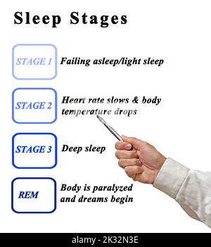Man Presenting Four Sleep Stages Stock Photo - Alamy