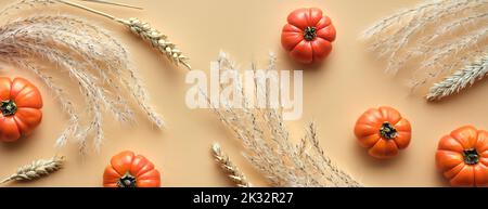 Autumntime background with tiny orange pumpkins, dry pampas grass and ...