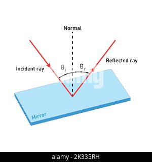 Specular and diffuse reflection diagram. Scientific vector illustration isolated on white ...