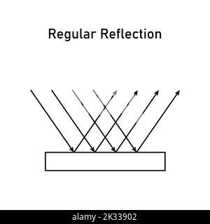 Specular and diffuse reflection diagram. Scientific vector illustration isolated on white ...