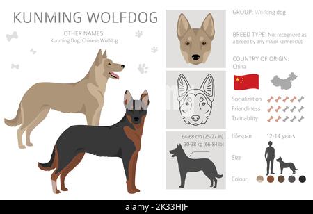Chinese German shepherd clipart. Different poses, coat colors set ...