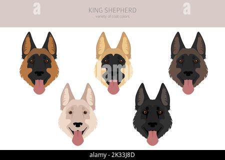 King Shepherd. Variety of German shepherd dog. clipart. Different coat ...