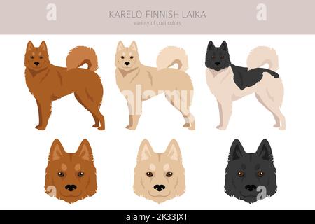 Karelo-Finnish laika clipart. Different coat colors set. Vector ...