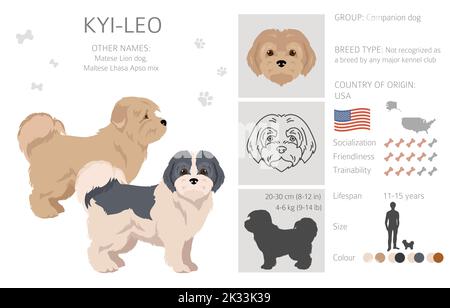Kyi-Leo dog clipart. Different coat colors set. Vector illustration ...