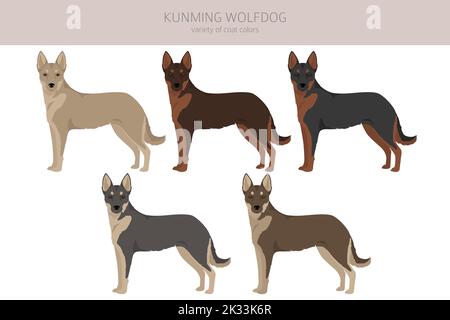 Chinese German shepherd clipart. Different poses, coat colors set ...