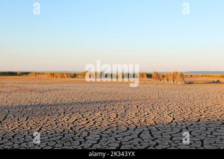 Heavily desiccated soil of Lake Neusiedl, Lake Neusiedl-Seewinkel ...