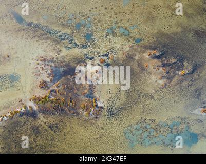 Conspicuous patterns at the bottom of the shallow lagoon Salinas de ...