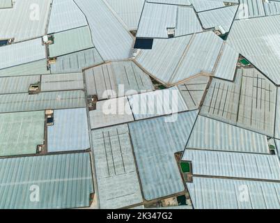 Masses of shimmering plastic greenhouses near El Ejido, aerial view ...